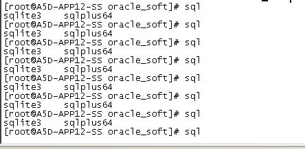 Linux安装ORACLE sqlplus sqlldr 步骤 记忆角落
