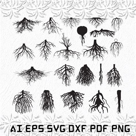 Root Svg Roots Svg Tree Roots Svg Tree Tree Lover SVG Ai Pdf Eps Svg Dxf Png Etsy