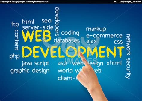 do html css bootstrap javescript jquery websites web applications by