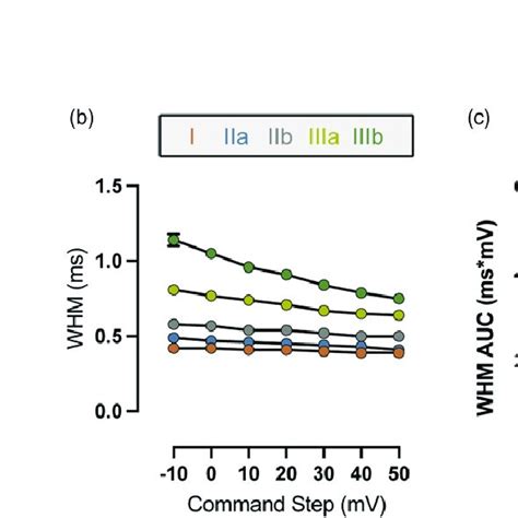 Voltage Activated Transient Inward Current In Five Types Of Download Scientific Diagram