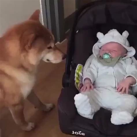 Ishani Ranasinghe Posted On Linkedin