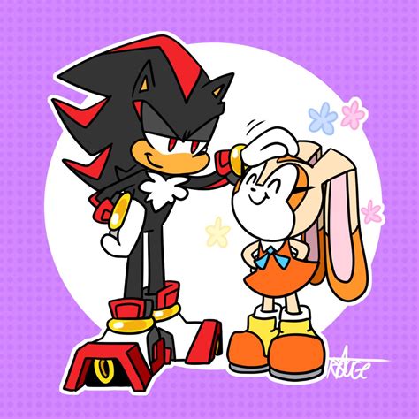 Shadow The Hedgehog And Cream The Rabbit Sonic Riders Cream The Rabbit