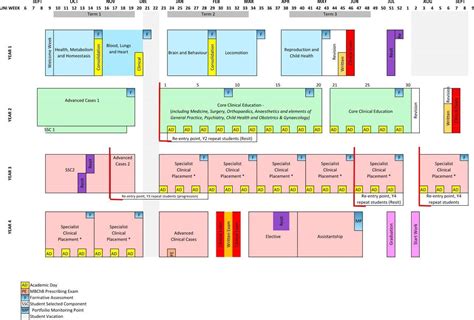 Mbchb Medicine Graduate Entry By University Of Chester Issuu