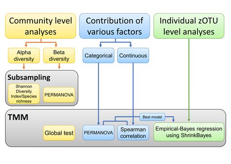 the flow diagram with the type of data set normalization per analysis
