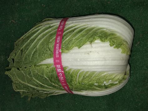 Cabbage Longkobis Panjang 10 Kg
