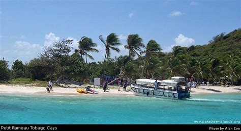 Petit Rameau Island Tobago Cays