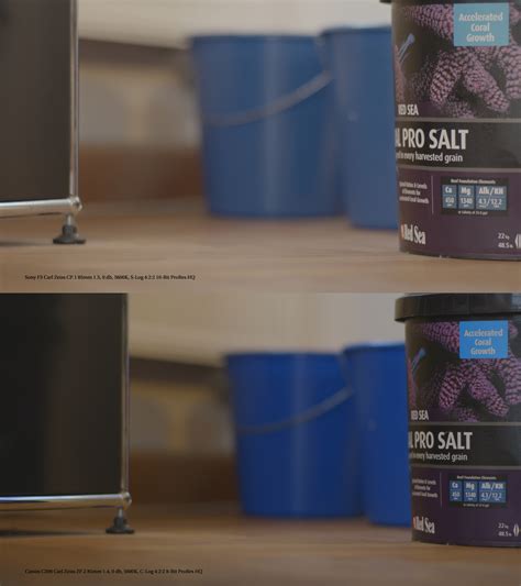 Canon C300 C Log Vs Sony F3 S Log Fight Nextwavedv