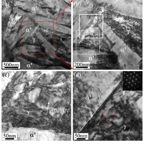 A Ebsd Band Contrast Map Superimposed With Austenite Phase Map For Rt