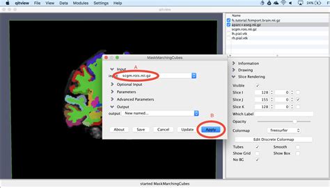 Freesurfer Tutorial Quantitative Imaging Toolkit