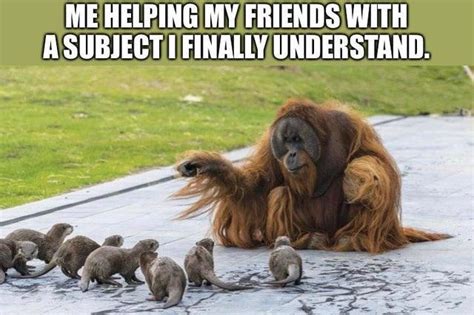 Assistance Know Your Meme