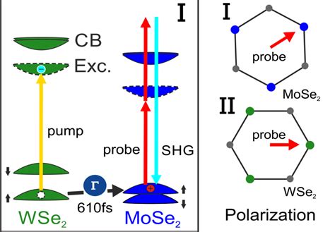Directional Ultrafast Charge Transfer In A Tmdc Heterostructure