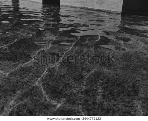 Categoría Do Not Exist In Nature De Imágenes Fotos De Stock E