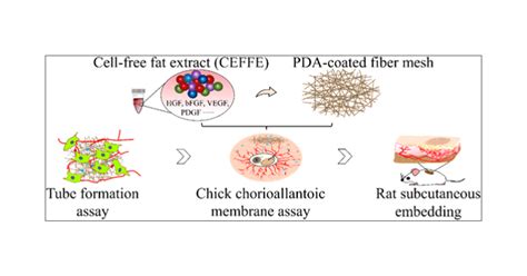 Pro Vasculogenic Fibers By Pda Mediated Surface Functionalization Using