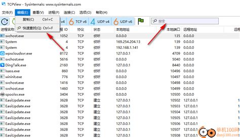 tcpview汉化版下载 tcpview软件v4 19 汉化版 32 64位 单机100网