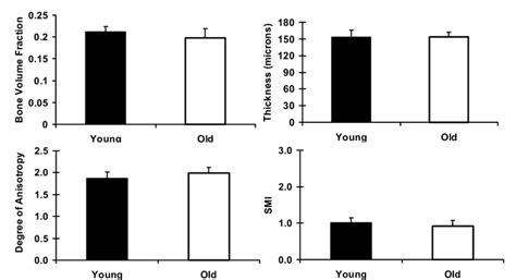 4 Trabecular Bone Microarchitecture From Micro Ct Analysis For Young Download Scientific