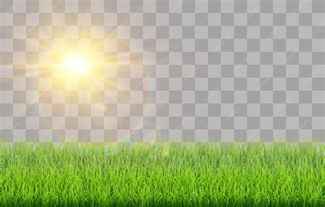 Premium Vector Spring Green Grass Vector Png