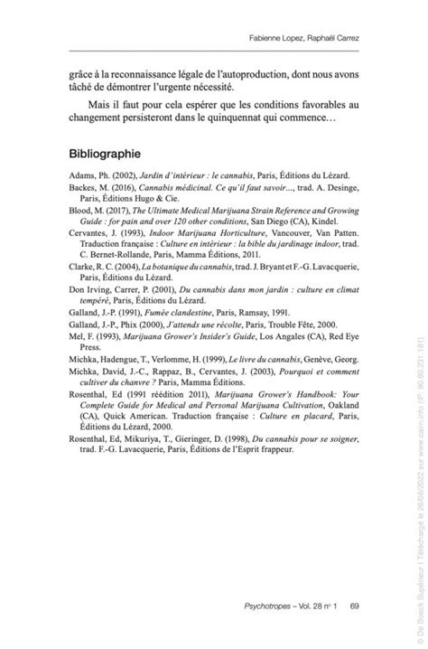 Lautoproduction Sous Le Radar Fabienne Lopez Raphaël Carrez Psychotropes 2022 1 Vol 28