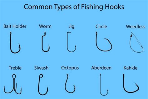 Different Types Of Ring Worm About Ringworm Ringworm Types Of Diseases Fungal Diseases