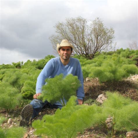 Sami Youssef Researcher Ph D Université De Montpellier Montpellier Um1 Unité Mixte