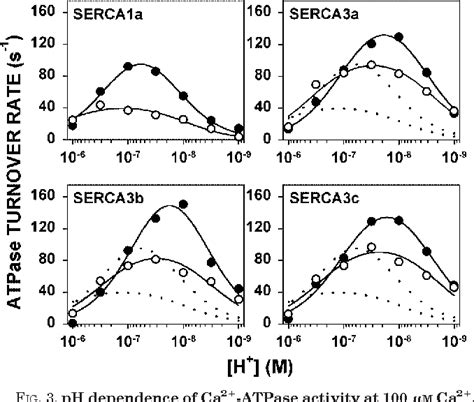 Figure 11 From Dissection Of The Functional Differences Between Sarco