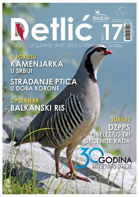 Časopis Detlić Br 17
