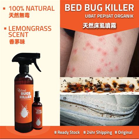 Ubat Semburan Pepijat Dan Kutu Berkesan Bed Bug Killer Spray 床蚤臭虫药水殺虫劑