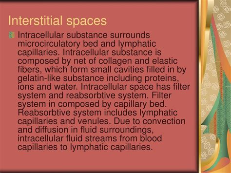 Ppt Physiology Of Microcirculation Powerpoint Presentation Free Download Id6067384