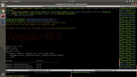 Angular Cli Conflicts While Ng Serve Stack Overflow
