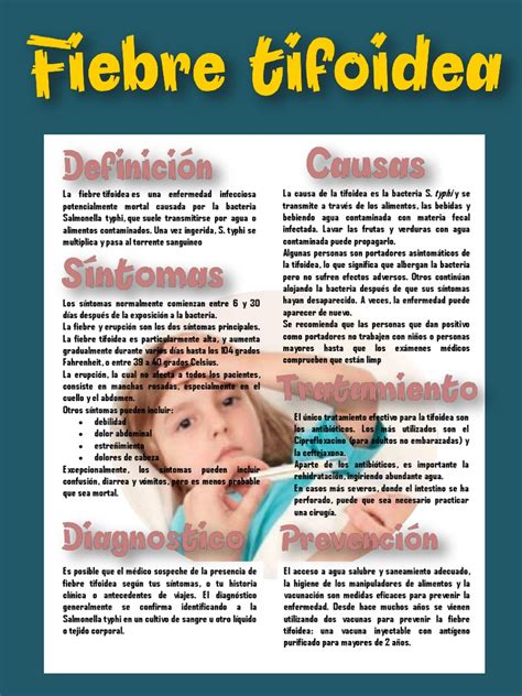 Tratamiento Y Síntomas De Tifoidea Pdf Salmonela Microbiología