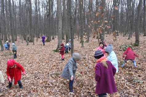 Stiri Paduchi Stirileprotvro