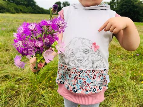 Fichier Modèle Broderie Chien Cocker Stickzebra Tissus Hemmers