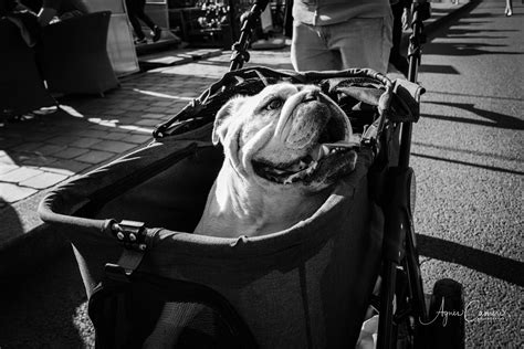 Eric Pothier Photographies Eric Pothier Photographies