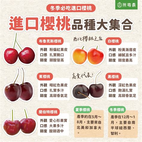 冬季必吃進口櫻桃，五個品種外觀、口感各有什麼不同？如何挑選最新鮮？ Tnl The News Lens 關鍵評論網