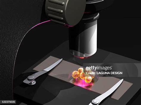 Cluster Of Cells Photos And Premium High Res Pictures Getty Images