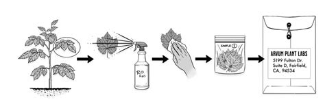 Sample Procedures Plant Tissue Arvum Plant Labs