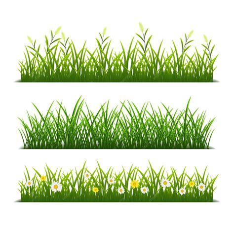 Premium Vector Border Of Grass Realistic Style Premium Vector Border Of Grass Realistic Style