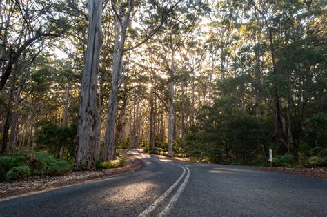 Top Forests And National Parks Australias South West