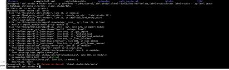 Docker Mkdir Permission Error Issue HumanSignal Label Studio GitHub