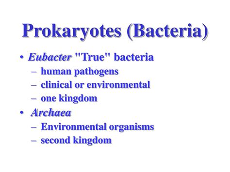 Ppt Chapter 1 The Structure And Function Of Prokaryotes Powerpoint Presentation Id 5651235