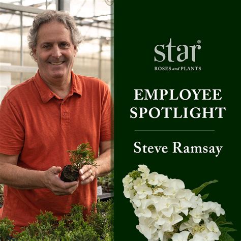 Were Featuring The Faces Of Star® Roses And Plants And Today Were