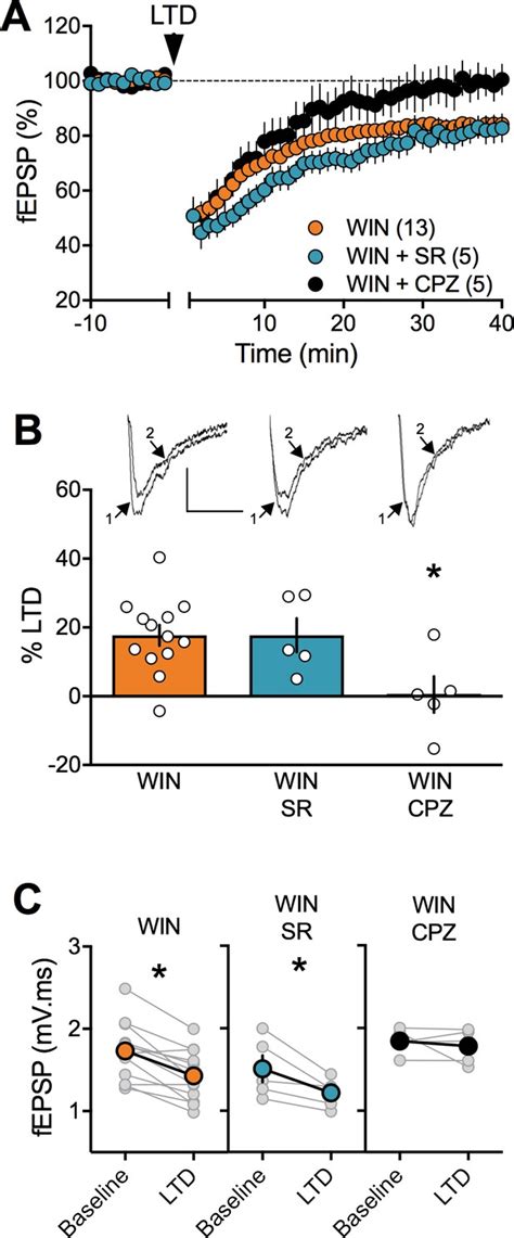 Figures And Data In Sex Dependent Effects Of In Utero Cannabinoid