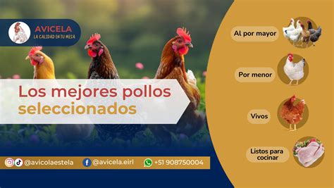 Avícola Estela Eirl Lima