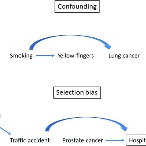 Illustration Of The Ecological Fallacy Hypothetical Example Of