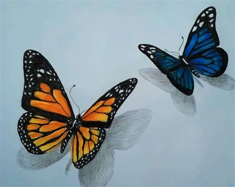 how to draw a butterfly