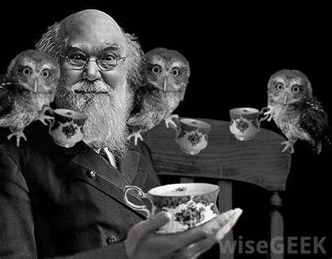 Edward Lear Quotes Quotesgram