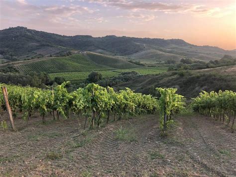 Belba Canteen Routes 4 Culture