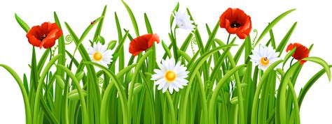 Трава, цветы | Grass clipart, Grass, Grass flower