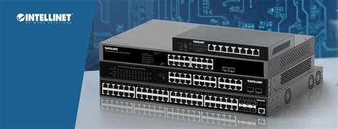 Intellinet Netinet