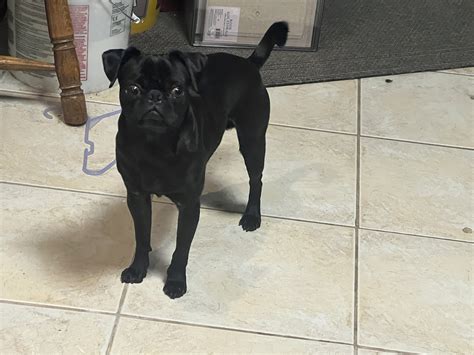 Nitro Album On Imgur