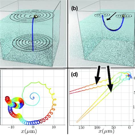The Density Plot Of The Cross Section Of The Axisymmetric Vortex Ring